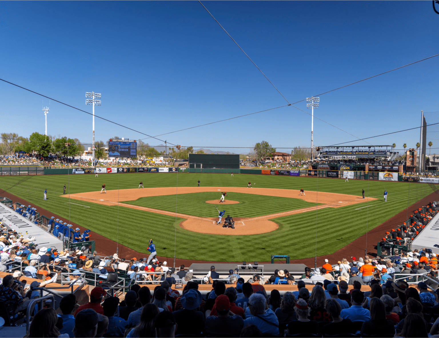 Spring Training Baseball